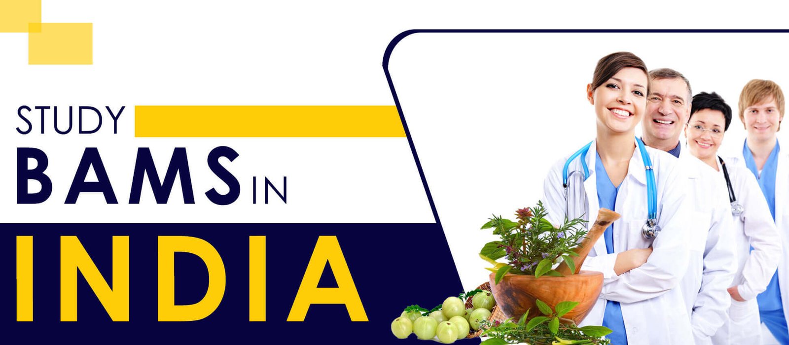 BAMS Admission In India BAMS Course Fee Structures 2023 BAMS Admission In India BAMS Course Fee Structures 2023